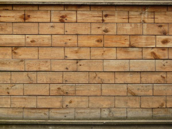 short plank texture 0015 - Texturelib